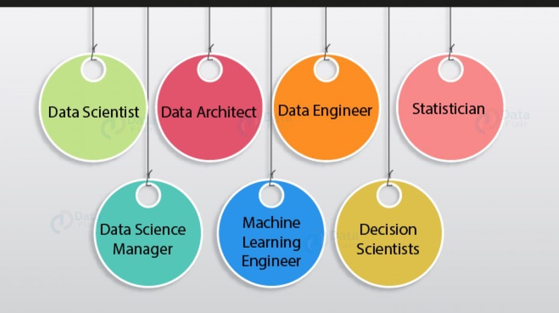Top 5 Most Popular Data Science Job Roles