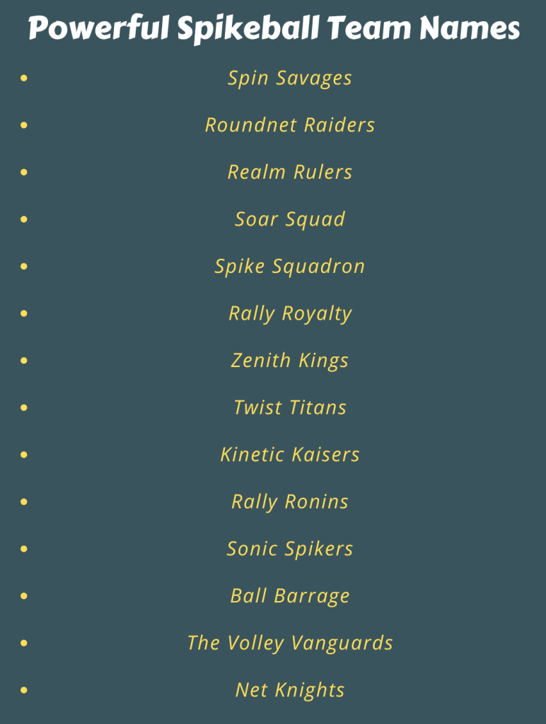 350+ Spikeball Team Names: Funny, Best, Cool & Unique Picks ...